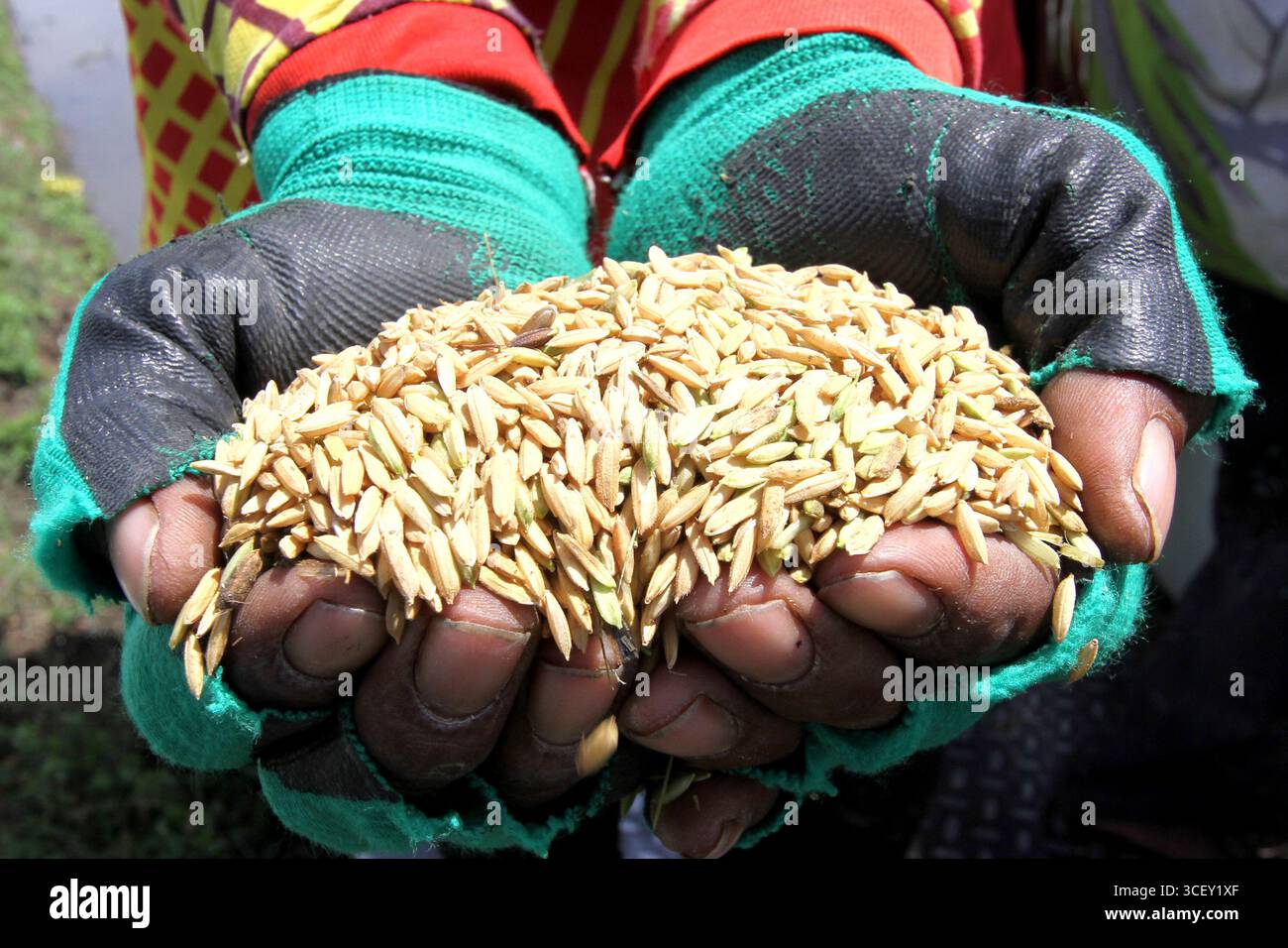 20 aug 2026 hi-res stock photography and images - Alamy