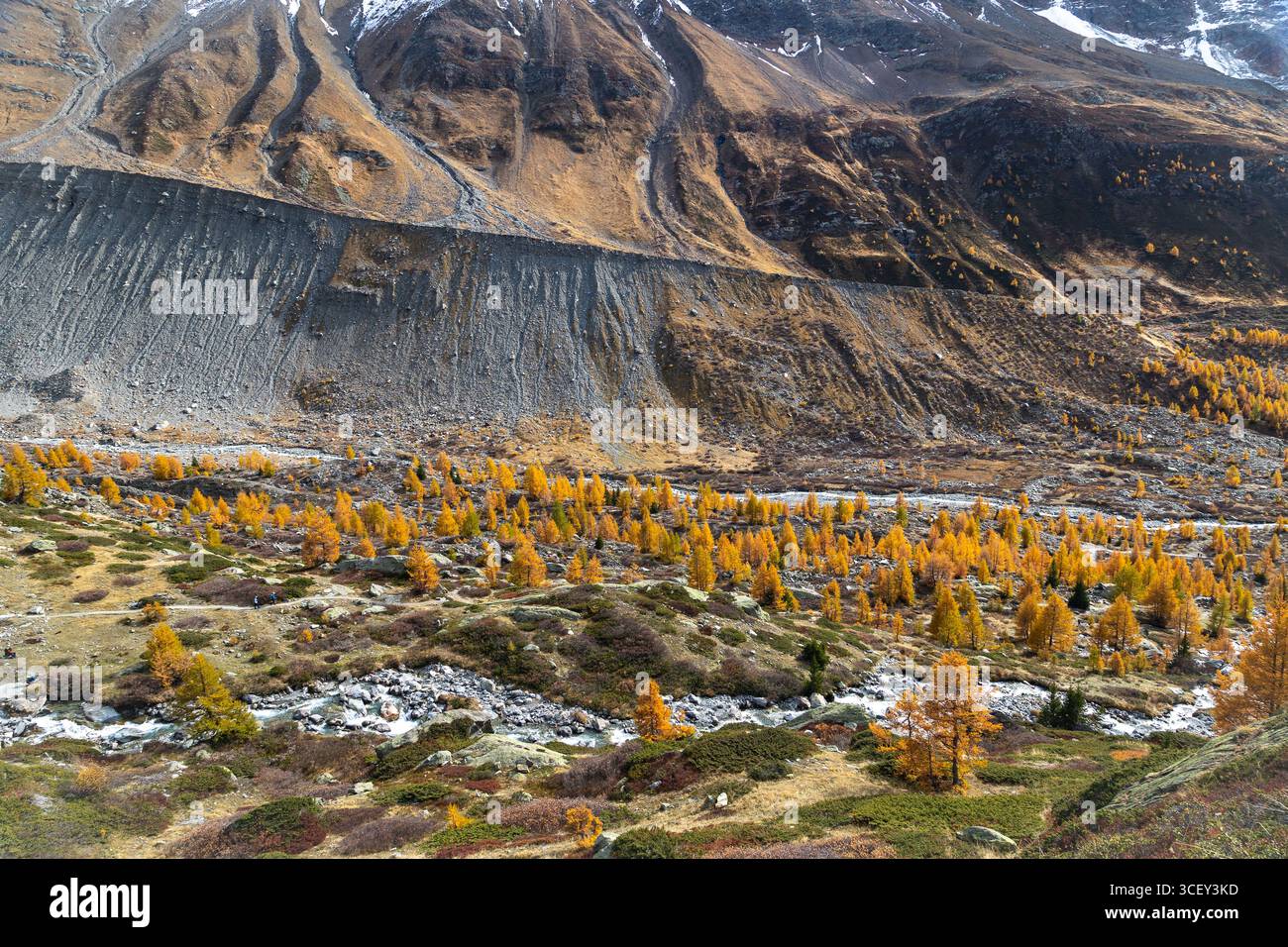 Lateral moraine, which marks the formerly glacier level, in the valley ...