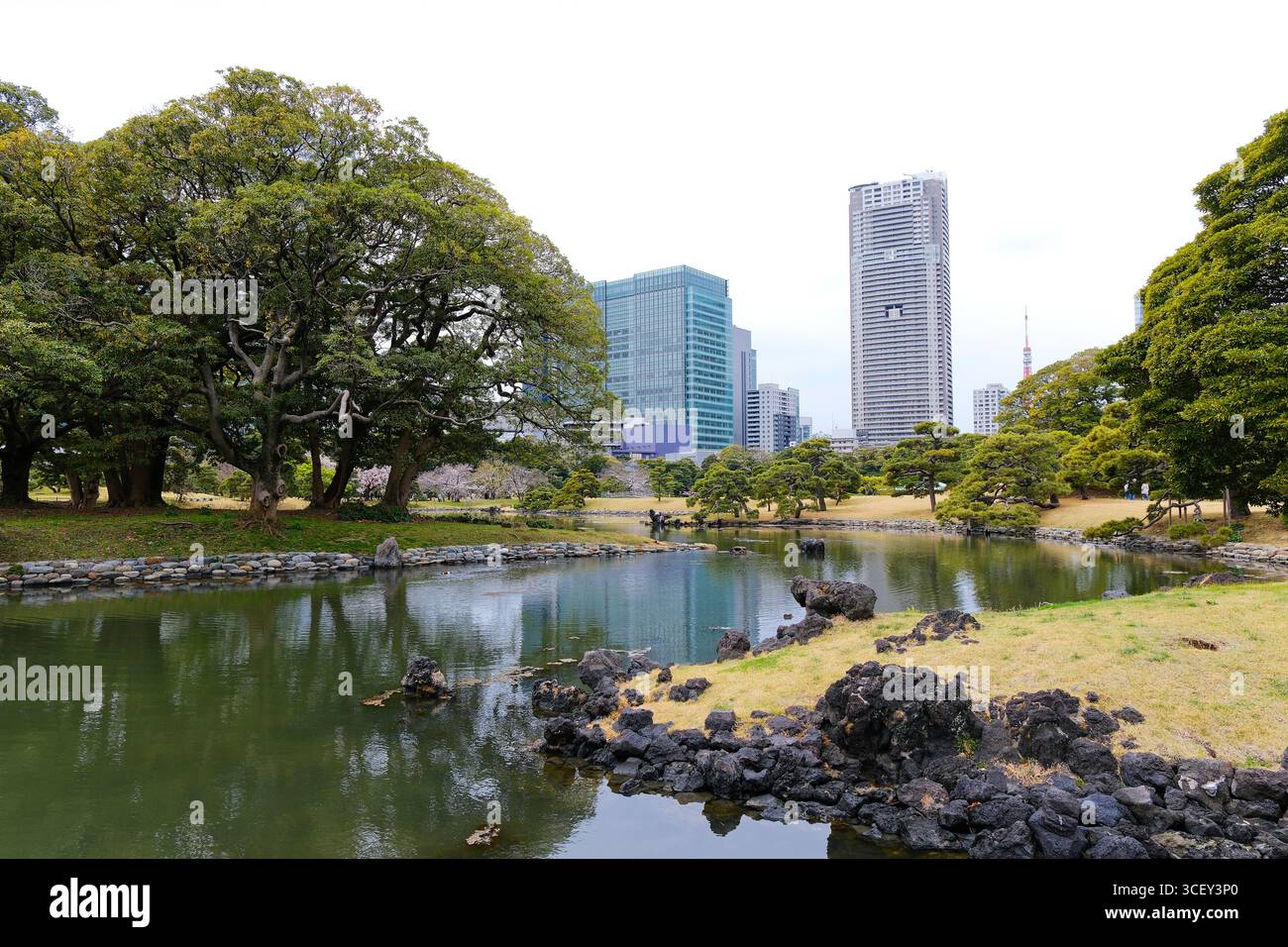 Hamarikyu Gardens in early summer, Tokyo (Sakura Season） Stock Photo ...