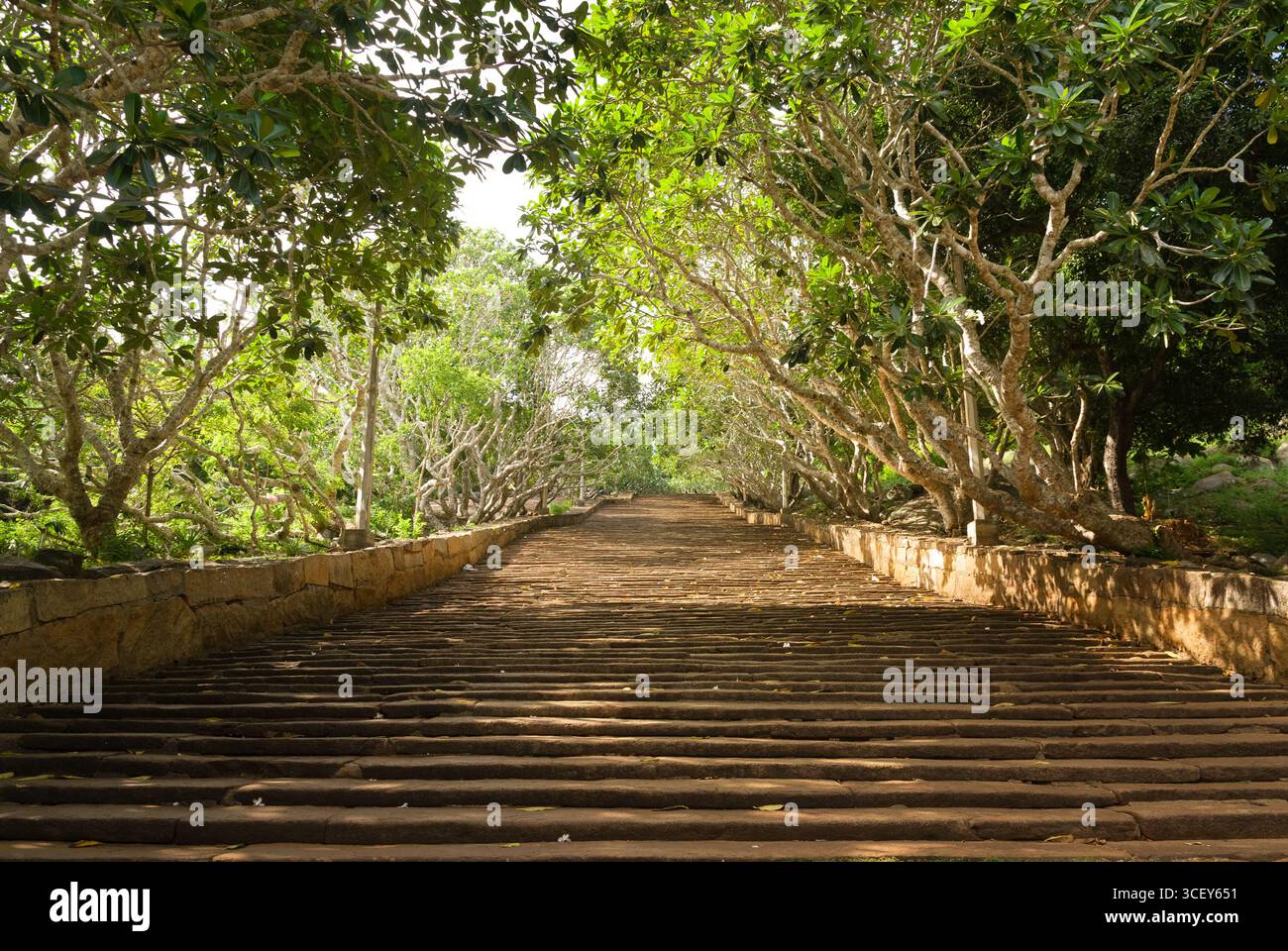 Stairs in mihintale sri lanka hi-res stock photography and images - Alamy