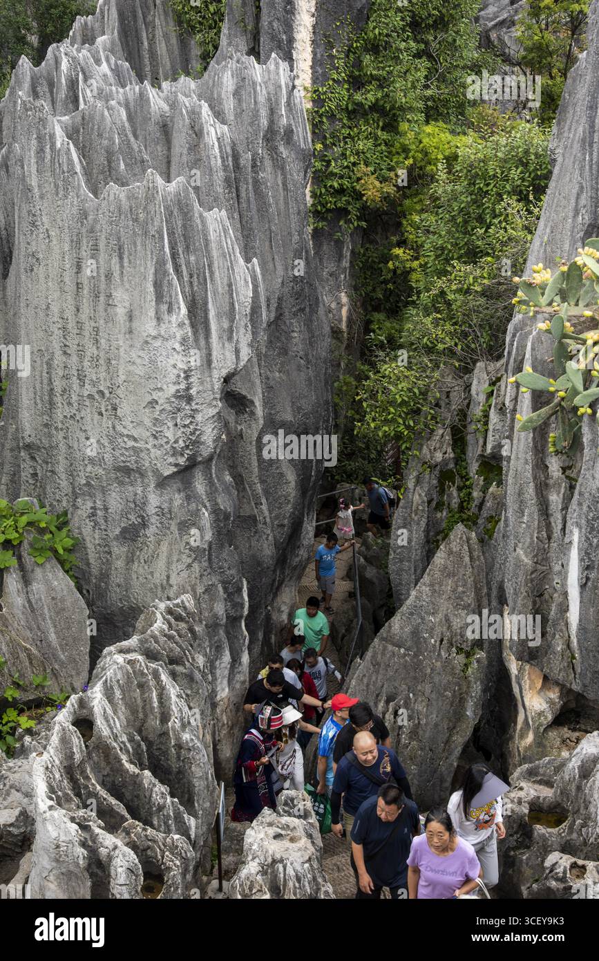 Autumn scenery of the Stone Forest scenic area draws tourists in ...