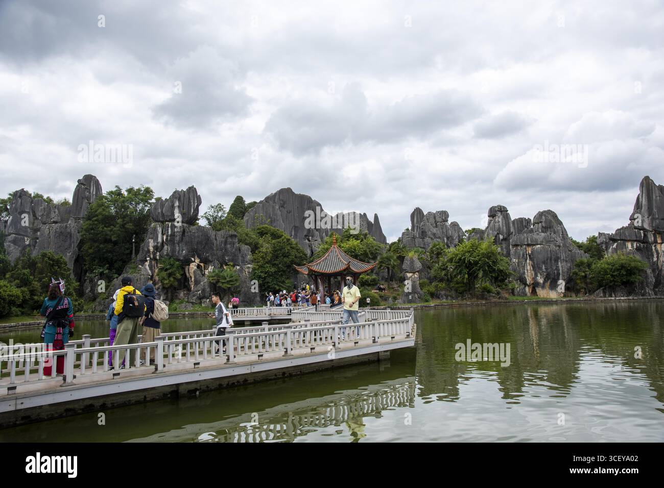 Autumn scenery of the Stone Forest scenic area draws tourists in ...