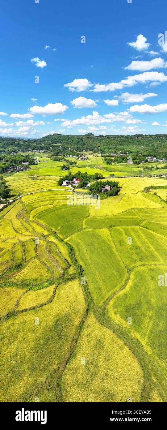 Aerial photo shows the autumn rural scenery in Chongqing, China, 17 ...