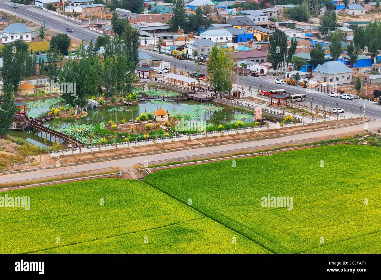 Aerial photo shows the autumn scenery of rice fields in Ili Kazakh ...