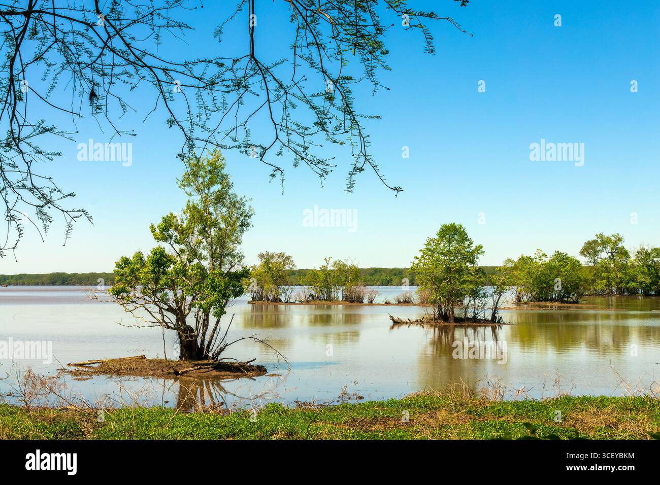 Lake Fausse Pointe State Park, Scenic landscape, Atchafalaya basin ...