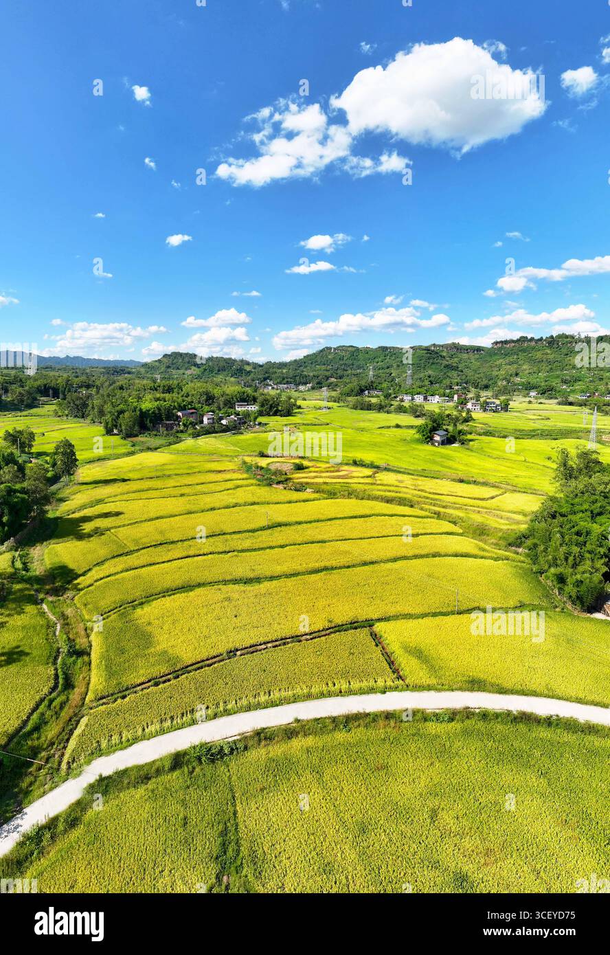 Aerial photo shows the autumn rural scenery in Chongqing, China, 17 ...