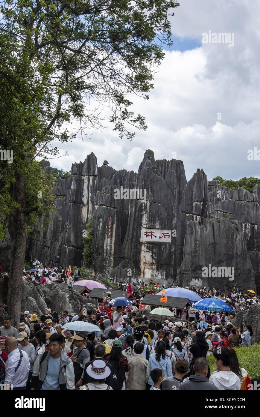 Autumn scenery of the Stone Forest scenic area draws tourists in ...