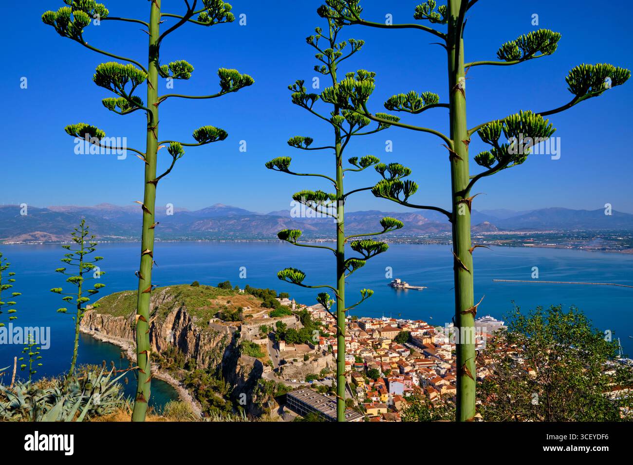Greece, Peloponnese, Nafplio, capital of Argolis, the lower town Stock ...