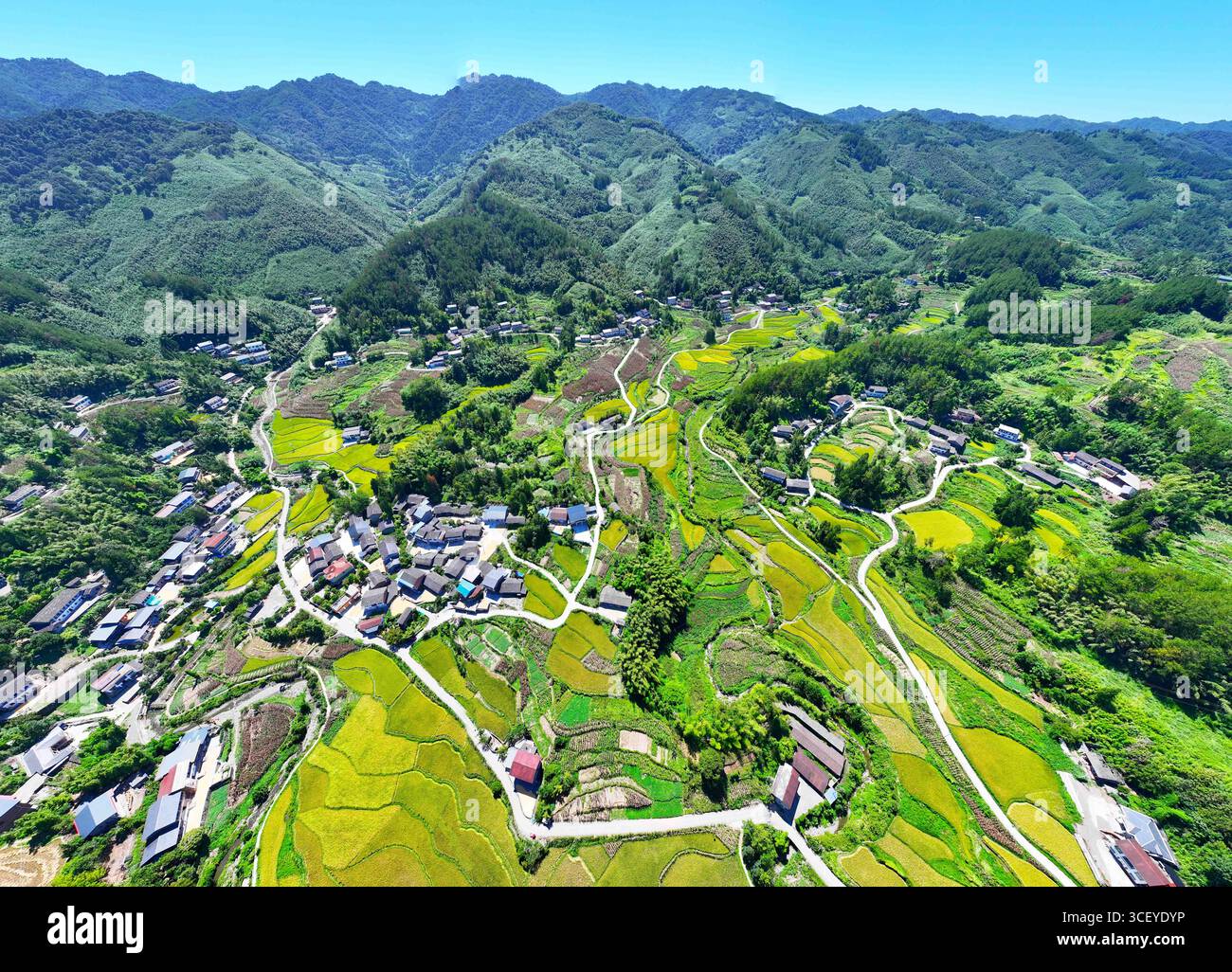 Aerial photo shows the autumn rural scenery in Chongqing, China, 17 ...