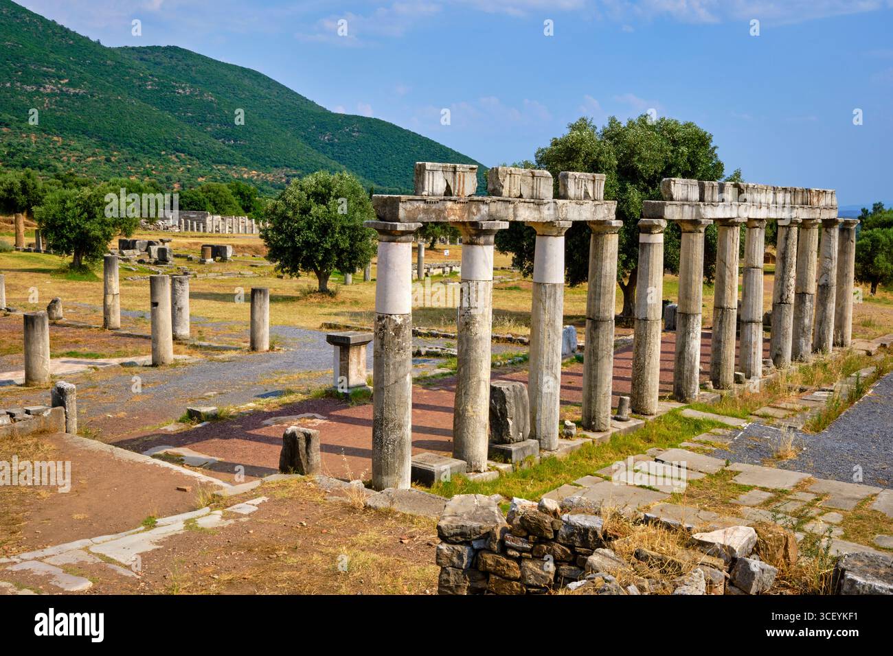 Greece, Peloponnese, archaeological site of Messene, sanctuary of ...