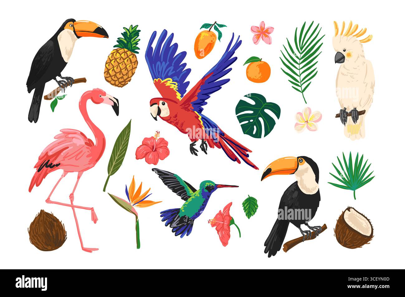 Tropical birds and exotic fruits set. Includes toucans, parrot ...