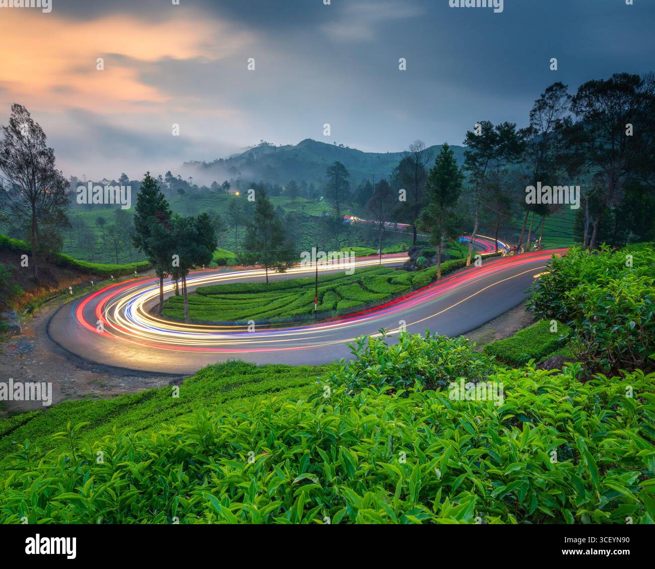 Discover the natural beauty of South Bandung's tea plantations, where ...