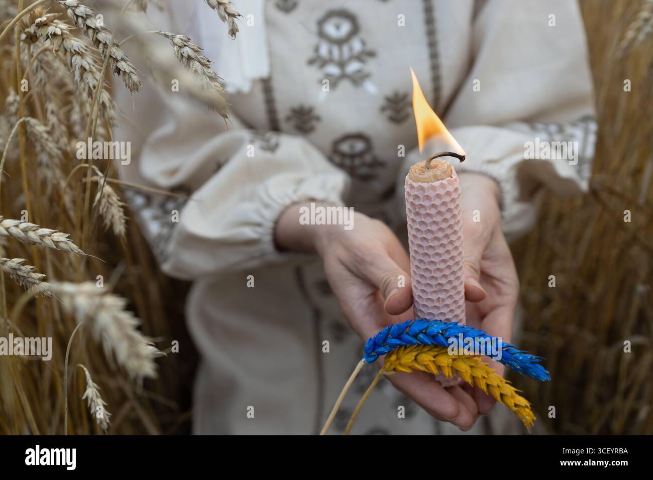 burning candle and two ears of wheat, painted in yellow blue colors of Ukrainian flag, in hands ...