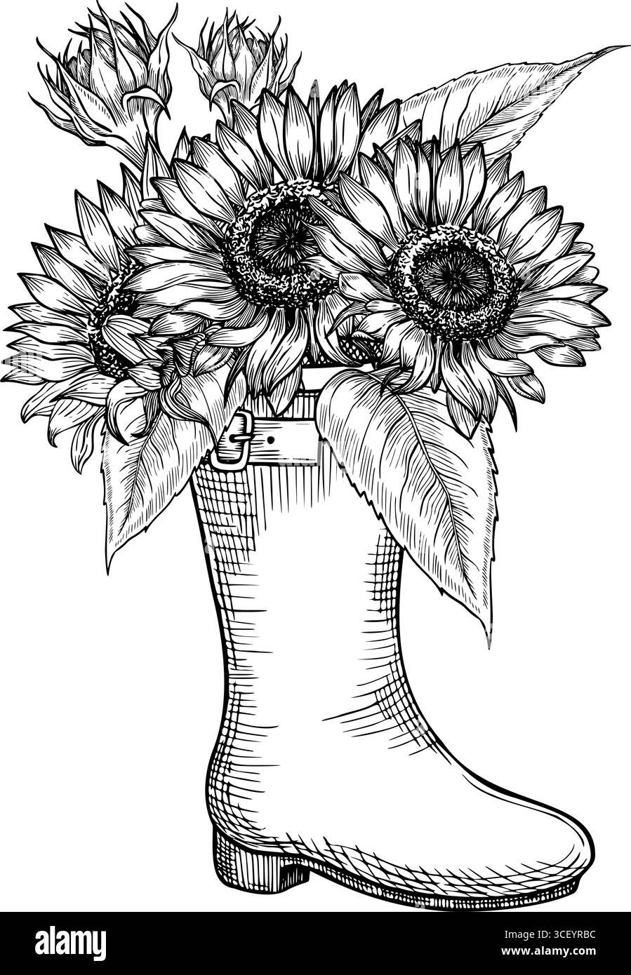 Summer harvest cut out Black and White Stock Photos & Images - Alamy