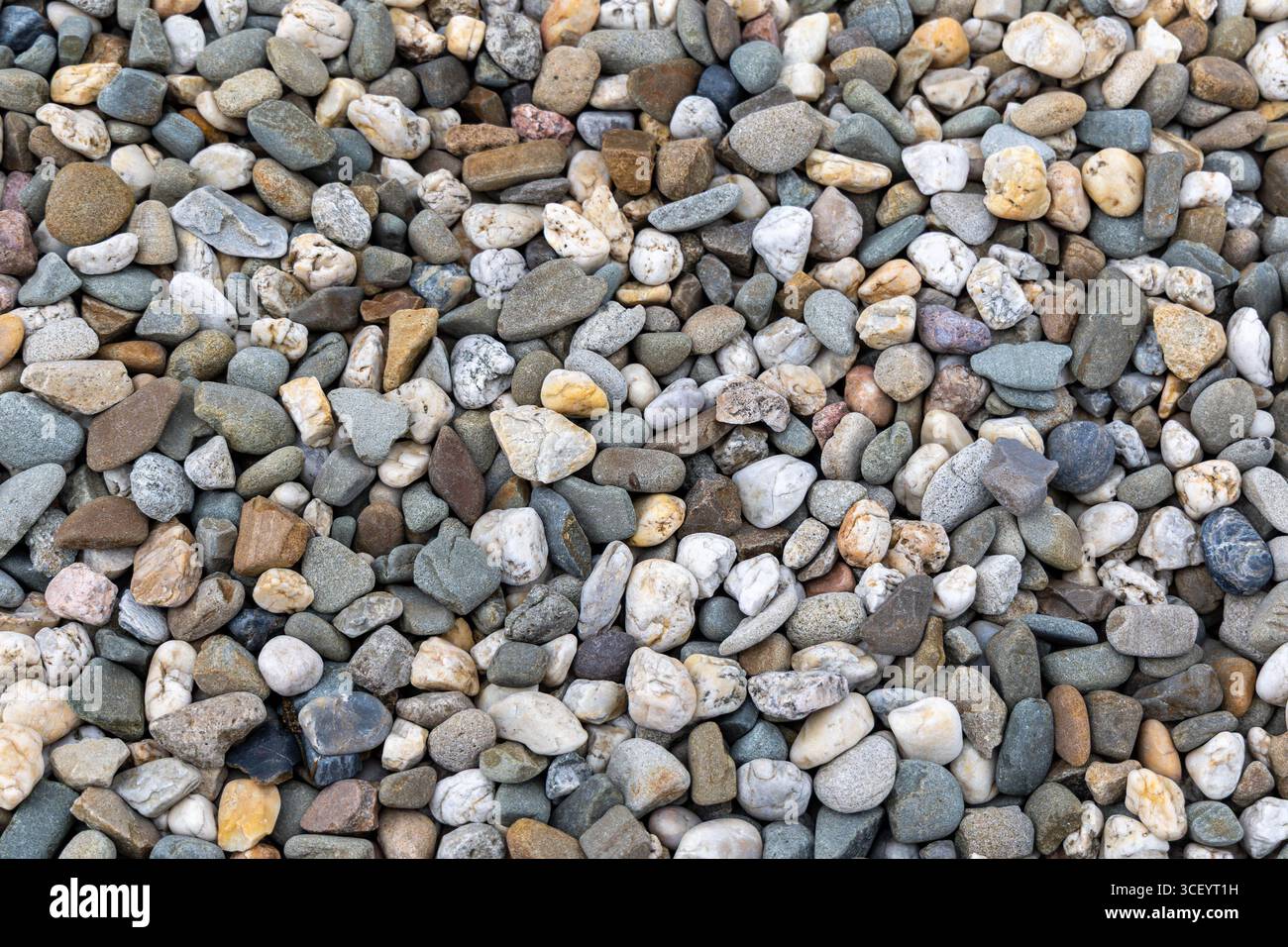 Random texture in nature hi-res stock photography and images - Alamy