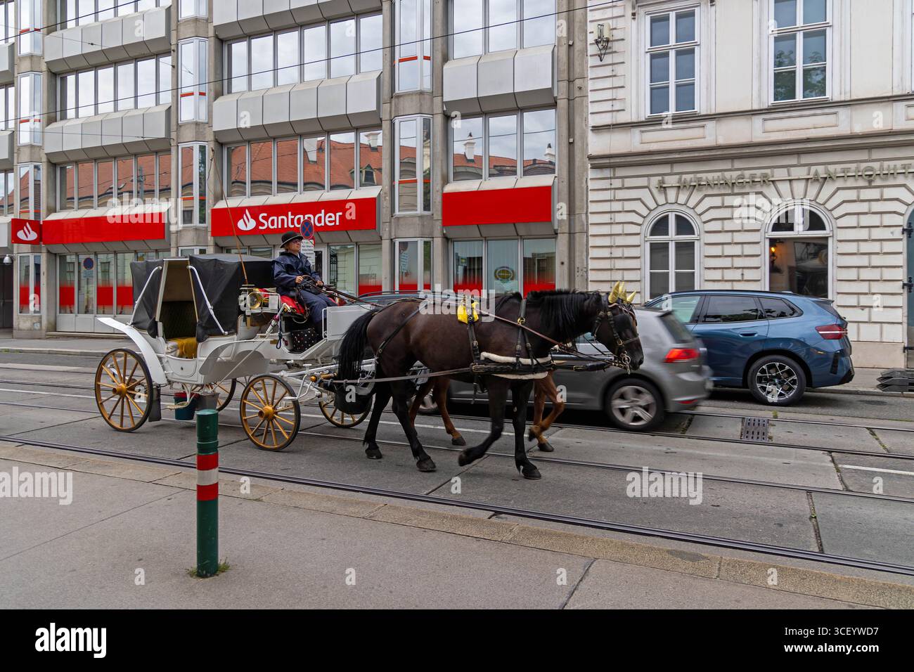 Vienna, Austria - August, 01, 2025. Horse-drawn carriage on city street ...