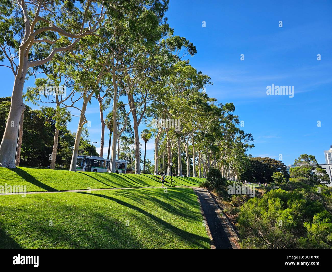 Serene park escape hi-res stock photography and images - Alamy