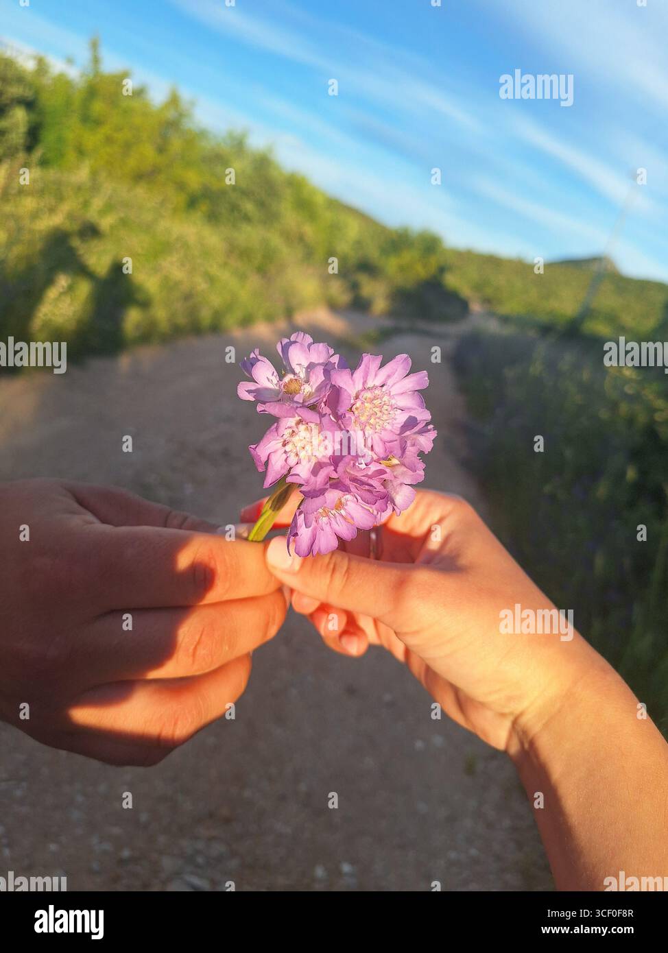 Petal exchange hi-res stock photography and images - Alamy