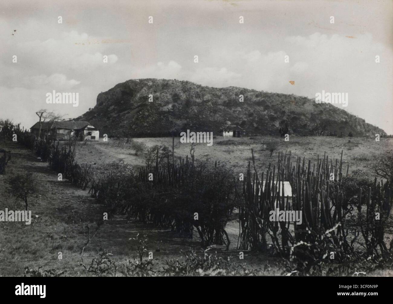 This photo, taken between 1929 and 1940, shows Zwarte Berg in Curaçao ...