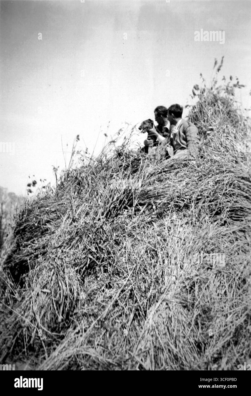 Heinz-Günther Knolle and Edgar Weil, with their dog Streifi ...