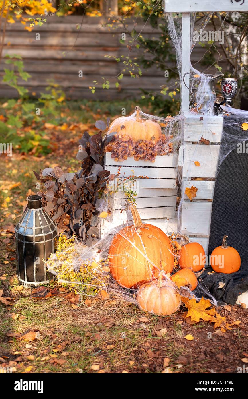 Festive composition on backyard decorated with orange pumpkins, magic ...