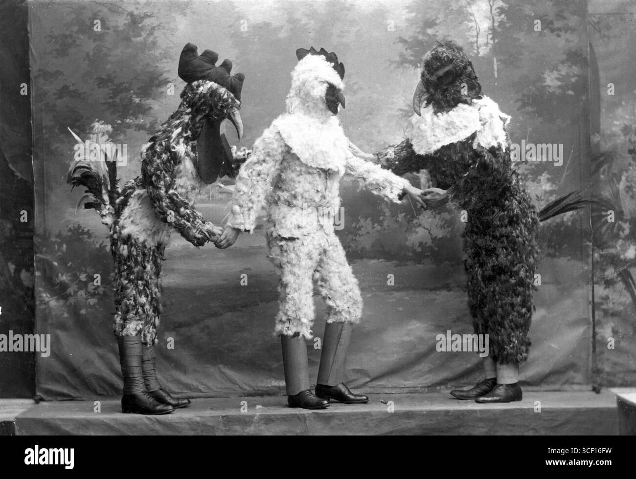 This photo shows 'Chanteclairs', three people dressed as a rooster and ...