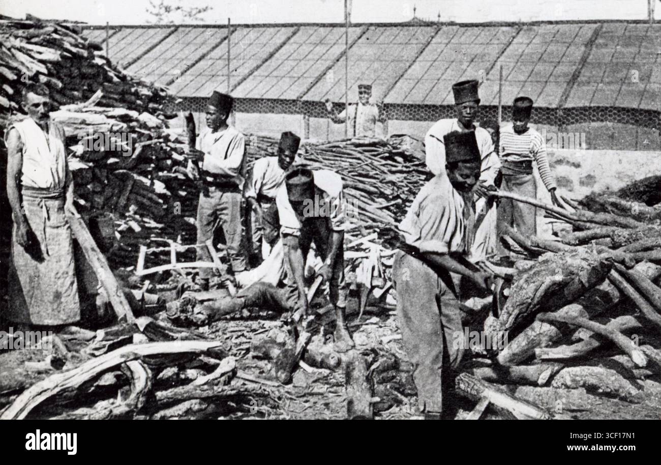 Senegalese soldiers gathering wood for use at the Western Front in ...