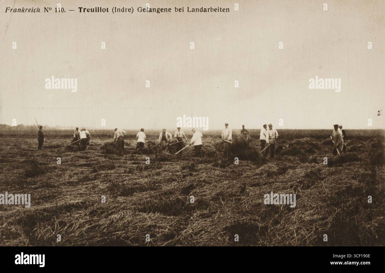 German prisoners of war harvesting hay under the supervision of an ...