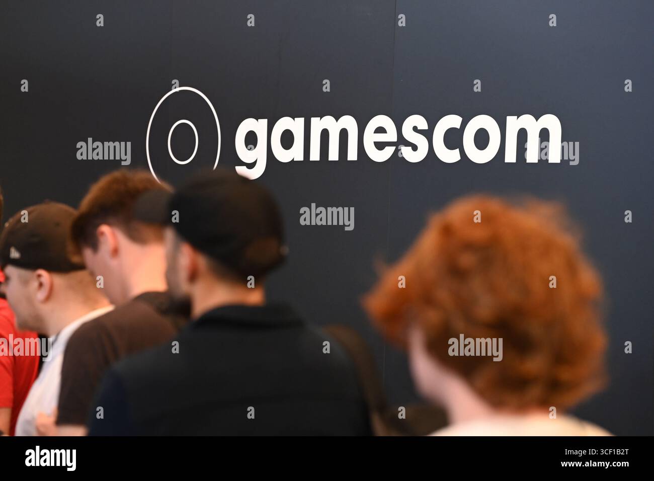 Queue, visitors waiting for entry to a trade fair stand, feature, symbolic photo, marginal motif ...