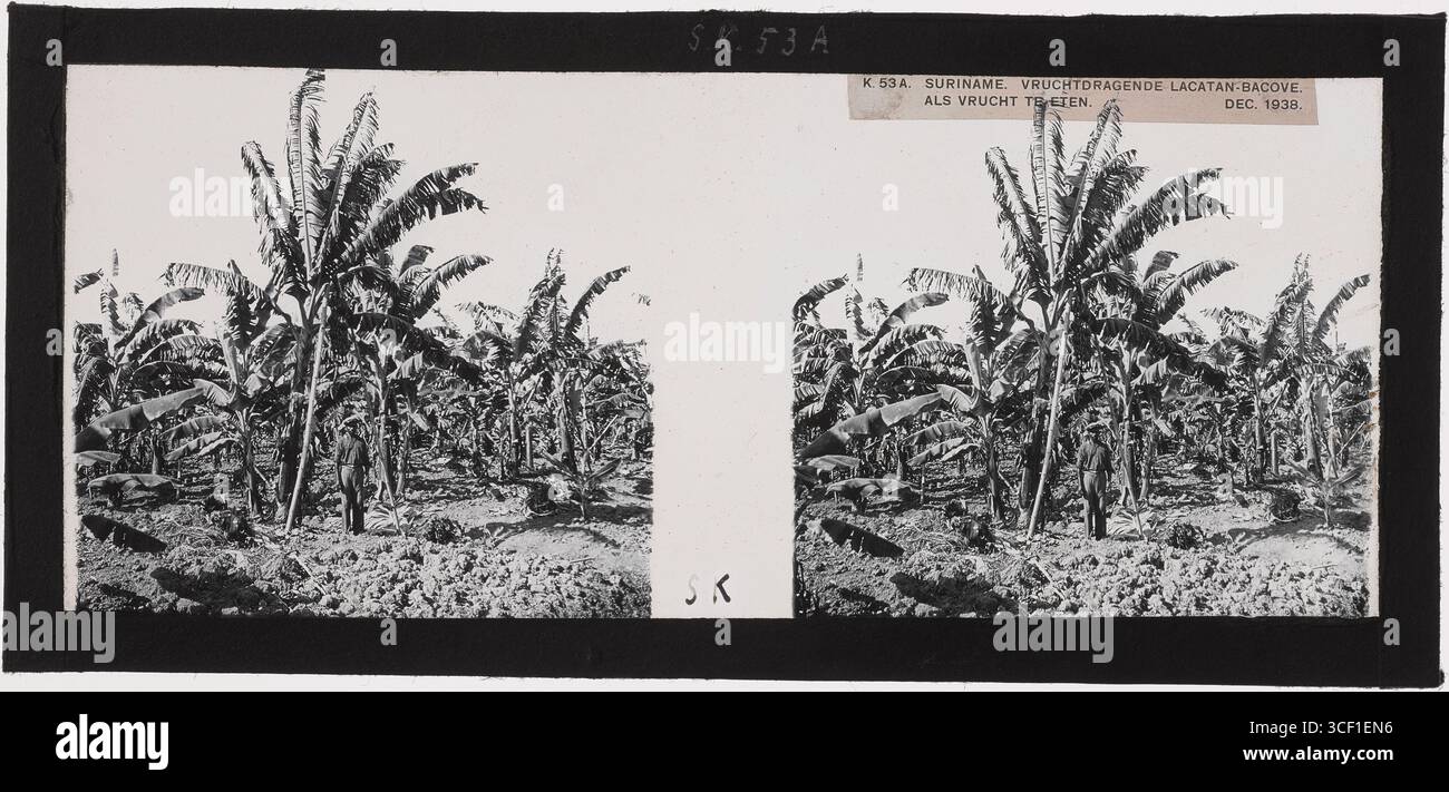 This Stereodia, used between 1900 and 1950 in a permanent display at ...
