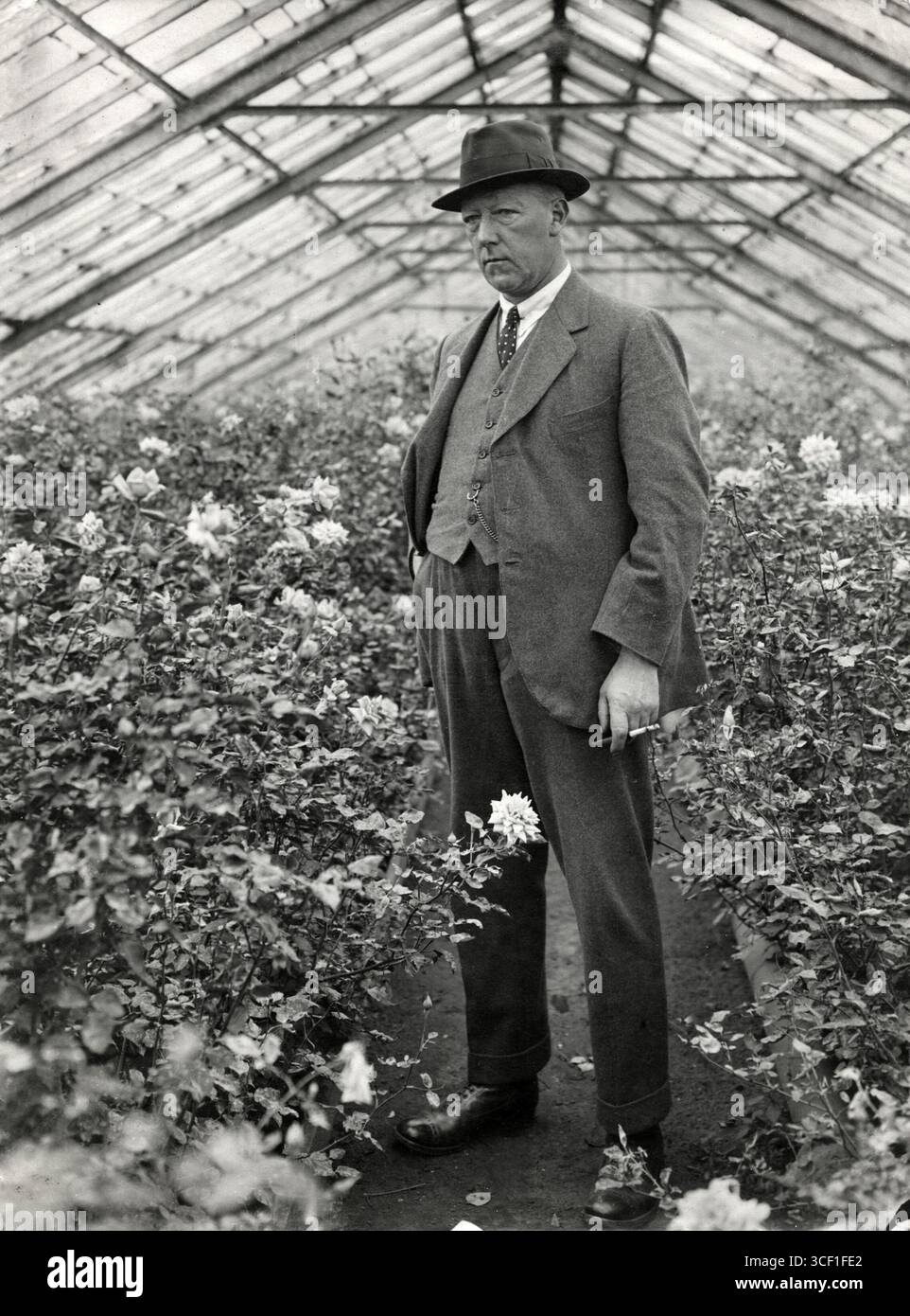 Cricketgeschiedenis hi-res stock photography and images - Alamy