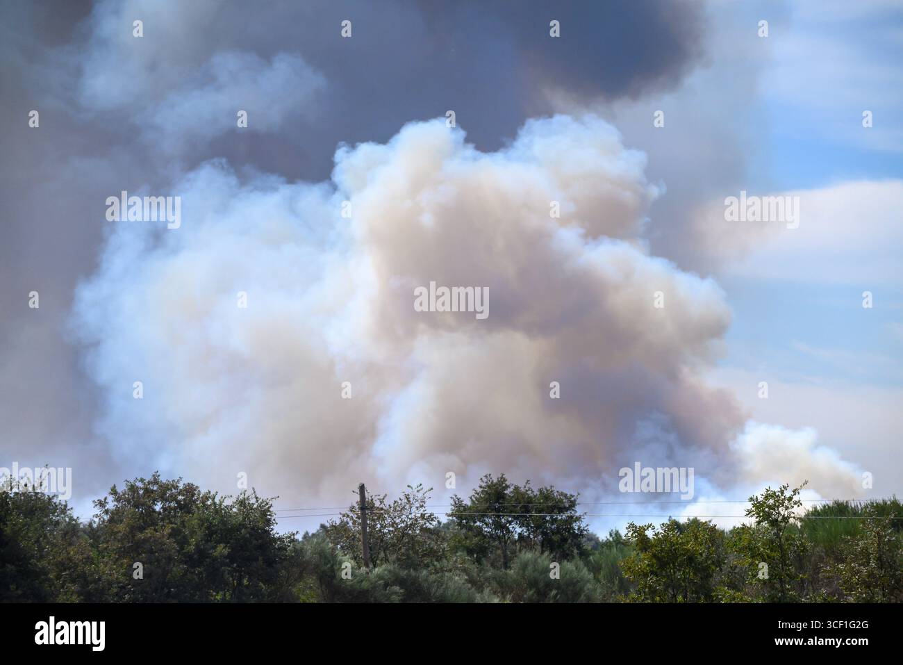 Burning fire rising column hi-res stock photography and images - Alamy