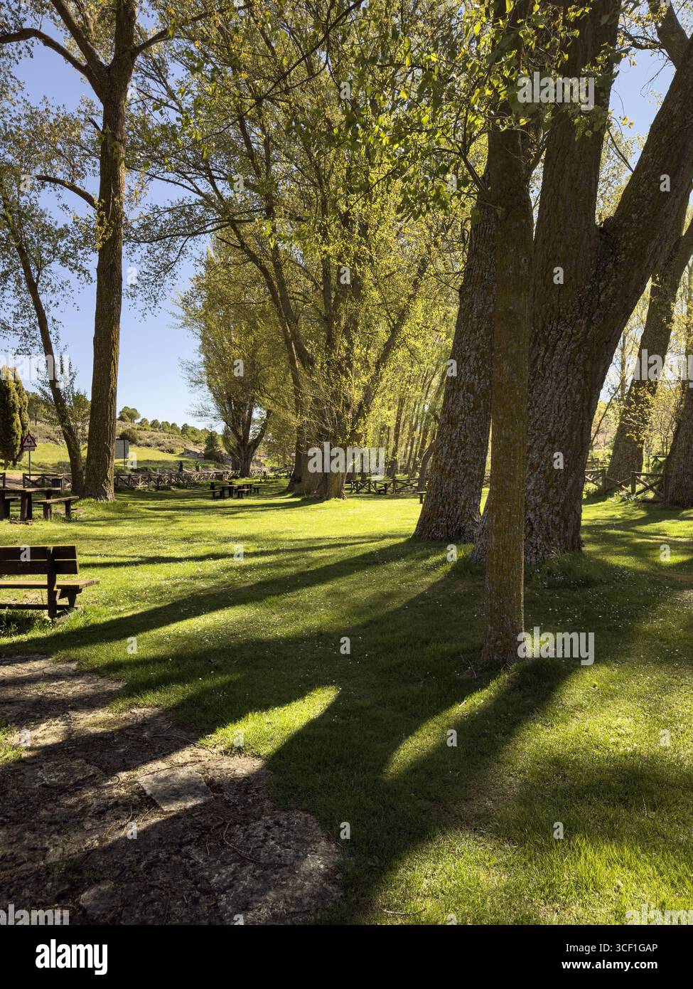 Quiet picnic area tall hi-res stock photography and images - Alamy