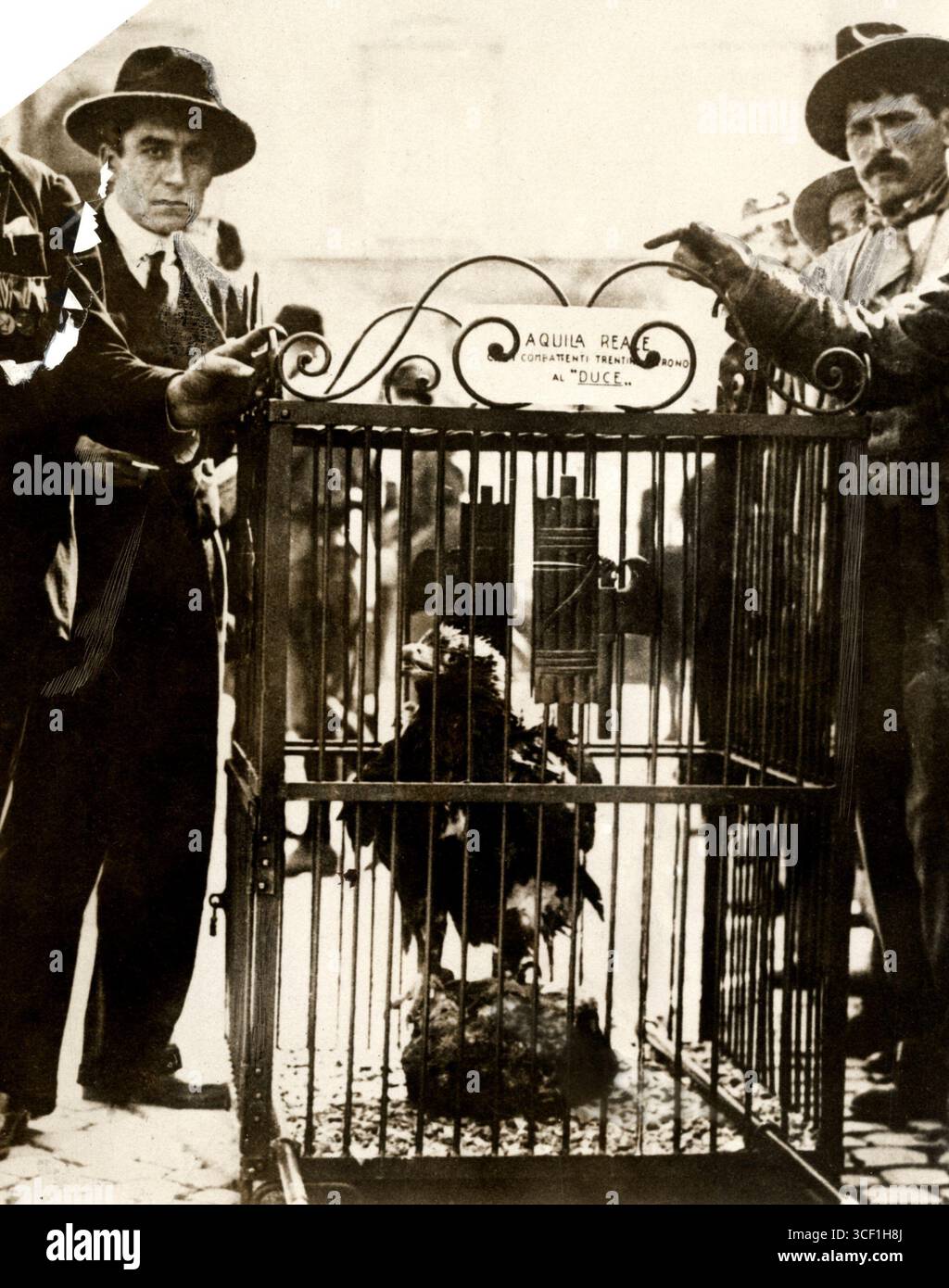 In 1928, dictator Benito Mussolini was presented with an eagle, an ...