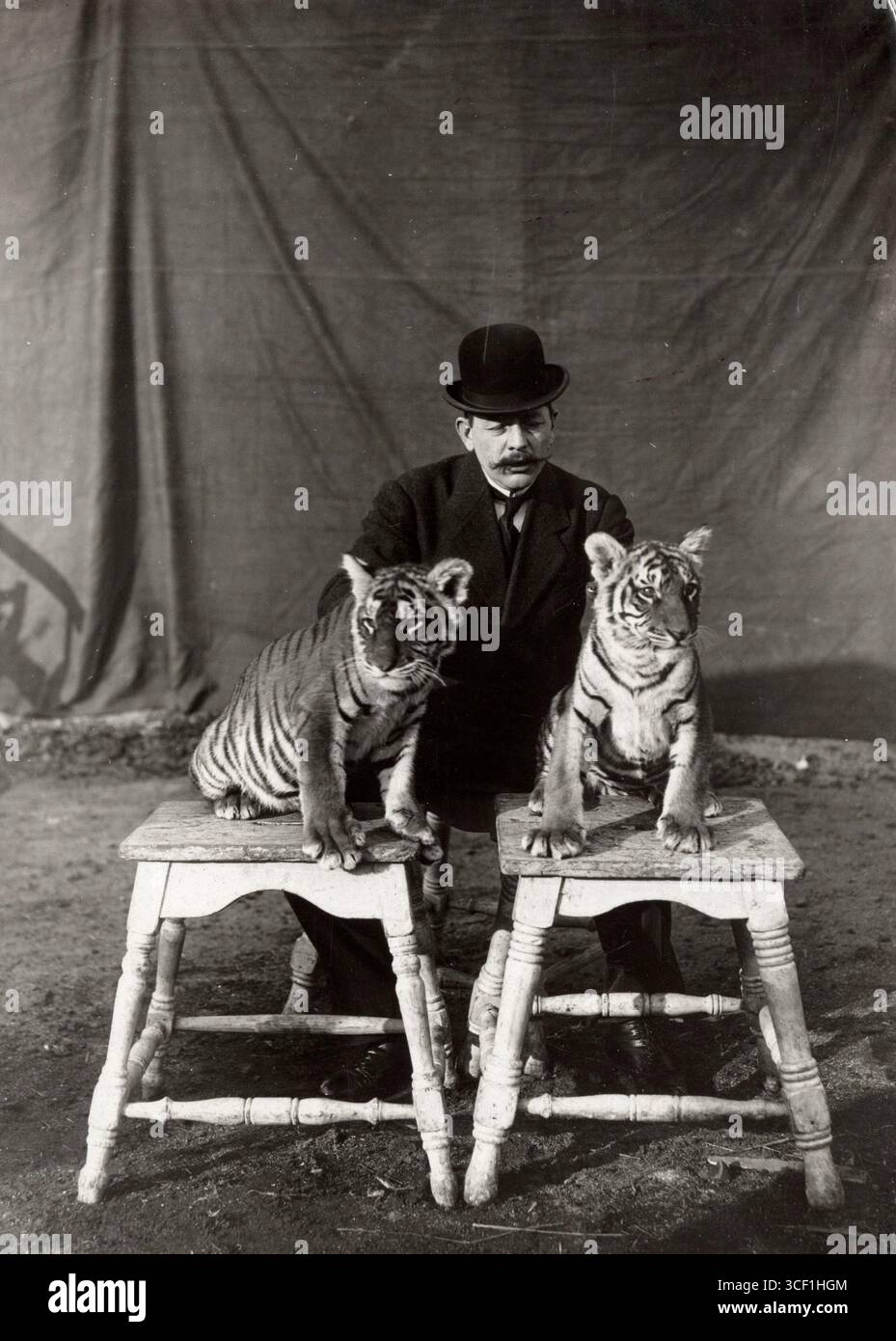 Lion tamer and stool hi-res stock photography and images - Alamy