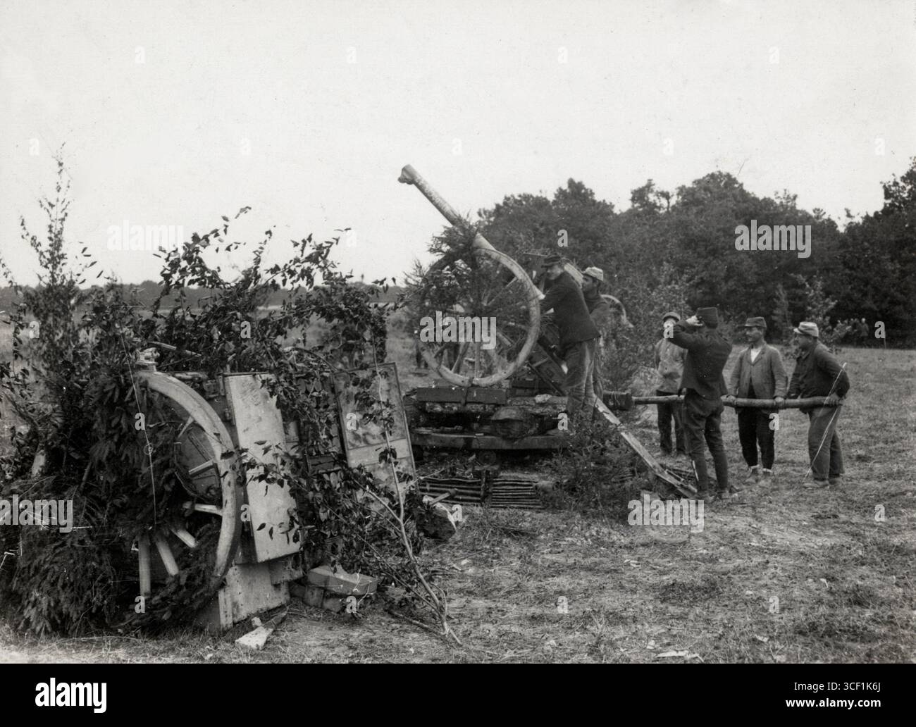 French anti-aircraft artillery positioned under branches on a meadow ...