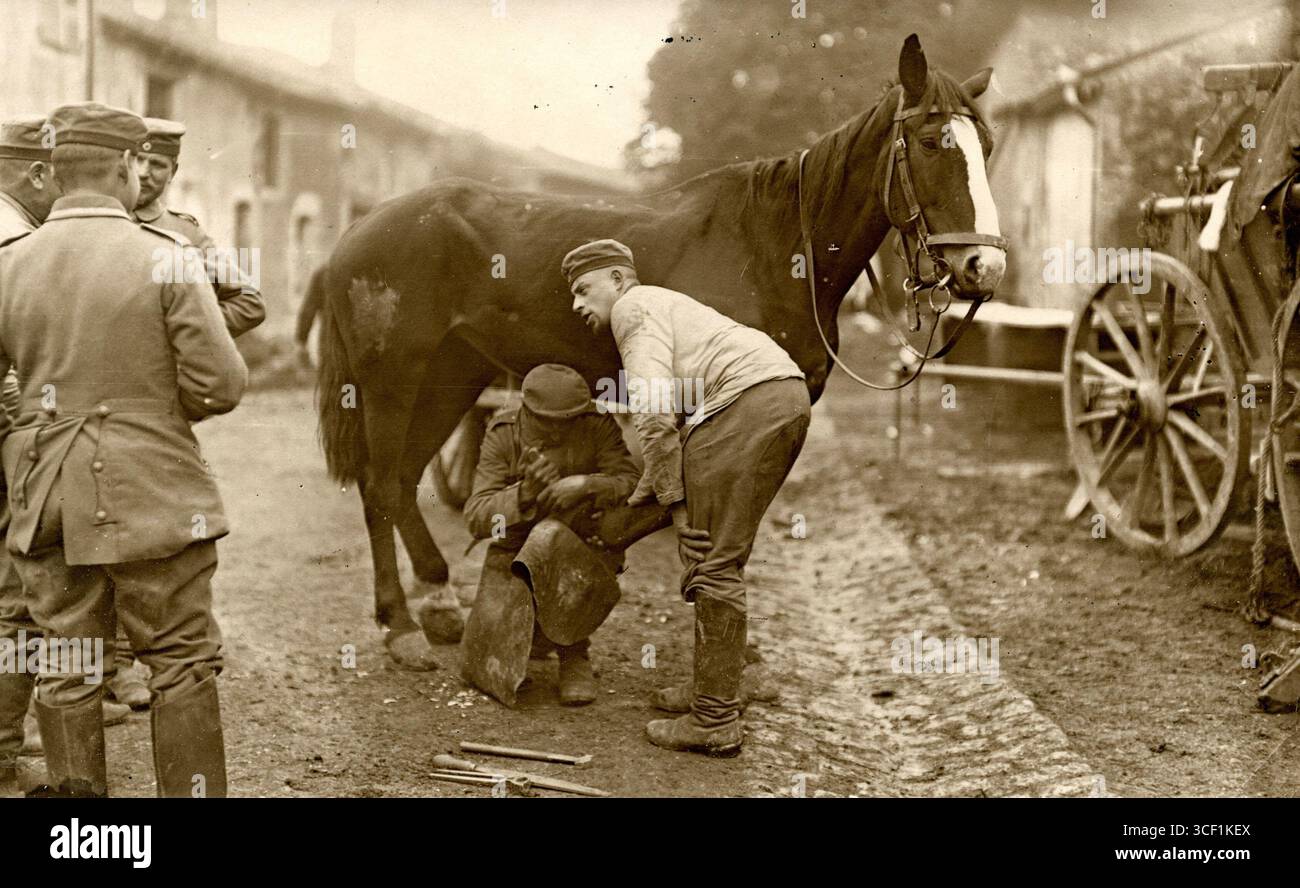 A blacksmith works on a horse in a German military camp during World ...