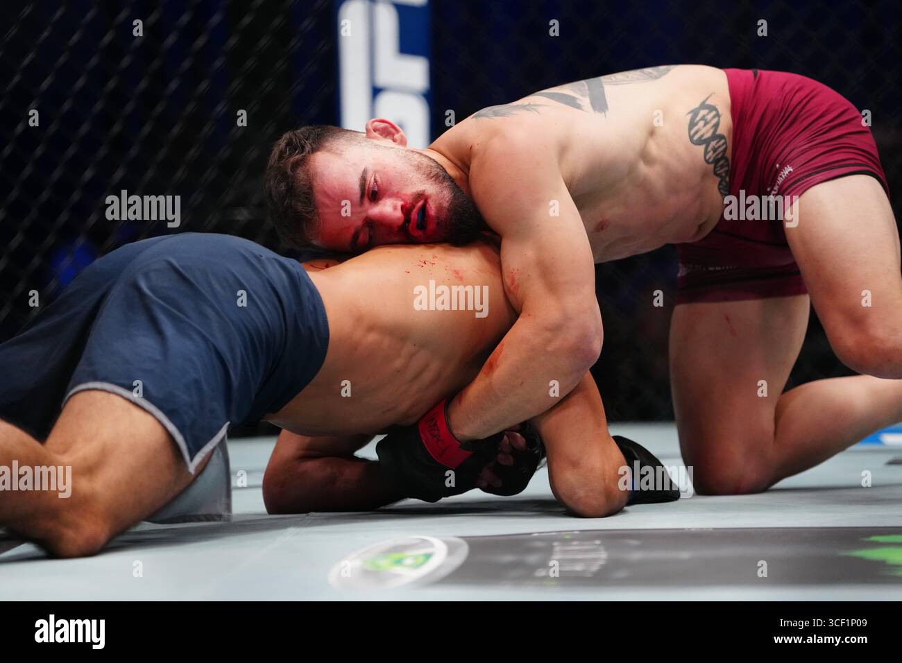 LAS VEGAS, NV - AUG 19: Manuel Exposito and Jose Delano meet in the octagon for a 3-round bout ...