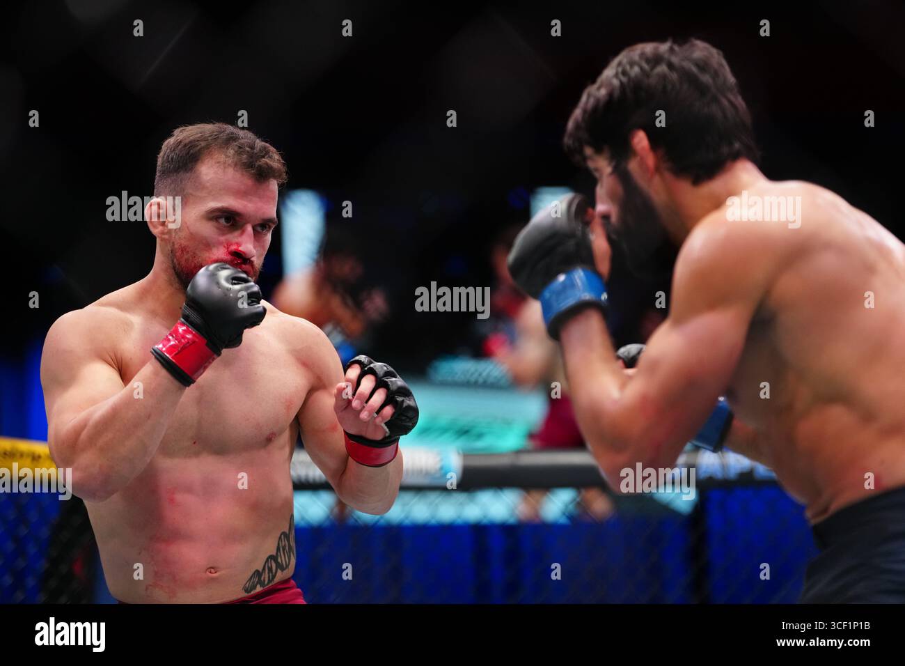 LAS VEGAS, NV - AUG 19: Manuel Exposito and Jose Delano meet in the octagon for a 3-round bout ...