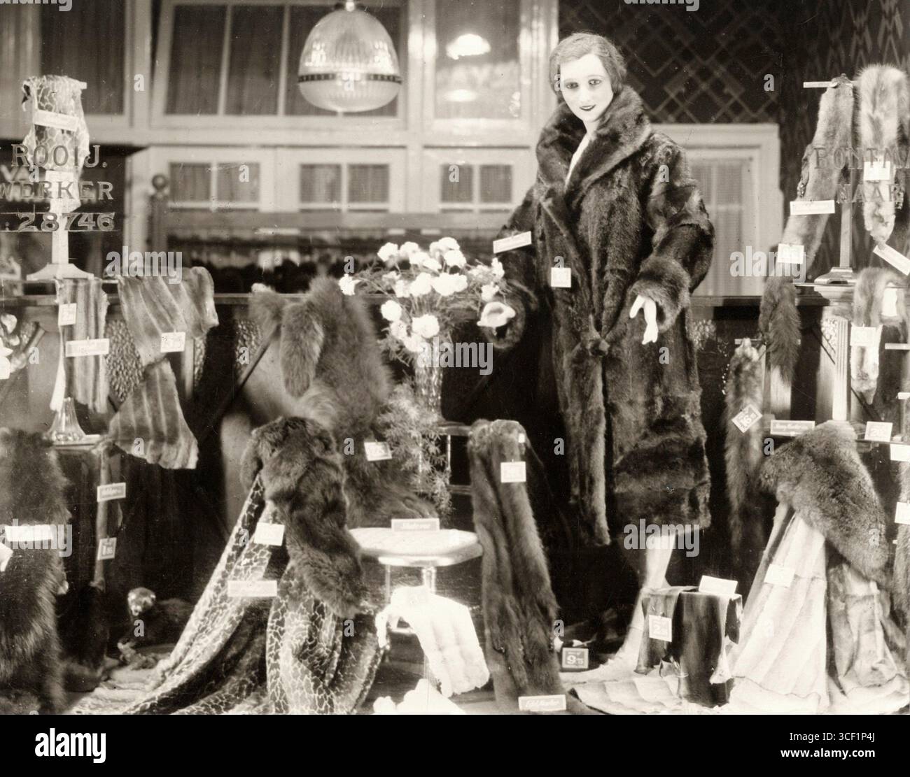 A mannequin wearing a fur coat stands in the window display of a fur ...