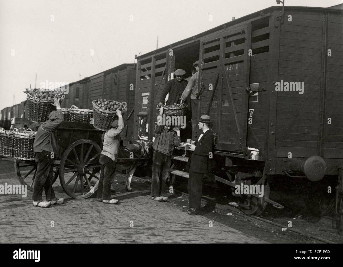 In 1919, fruit baskets are being loaded onto a train wagon for ...