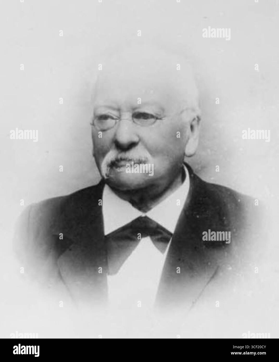 Portrait of Alexander Leonard Nilant (1831–1907), created in 1907 Stock ...