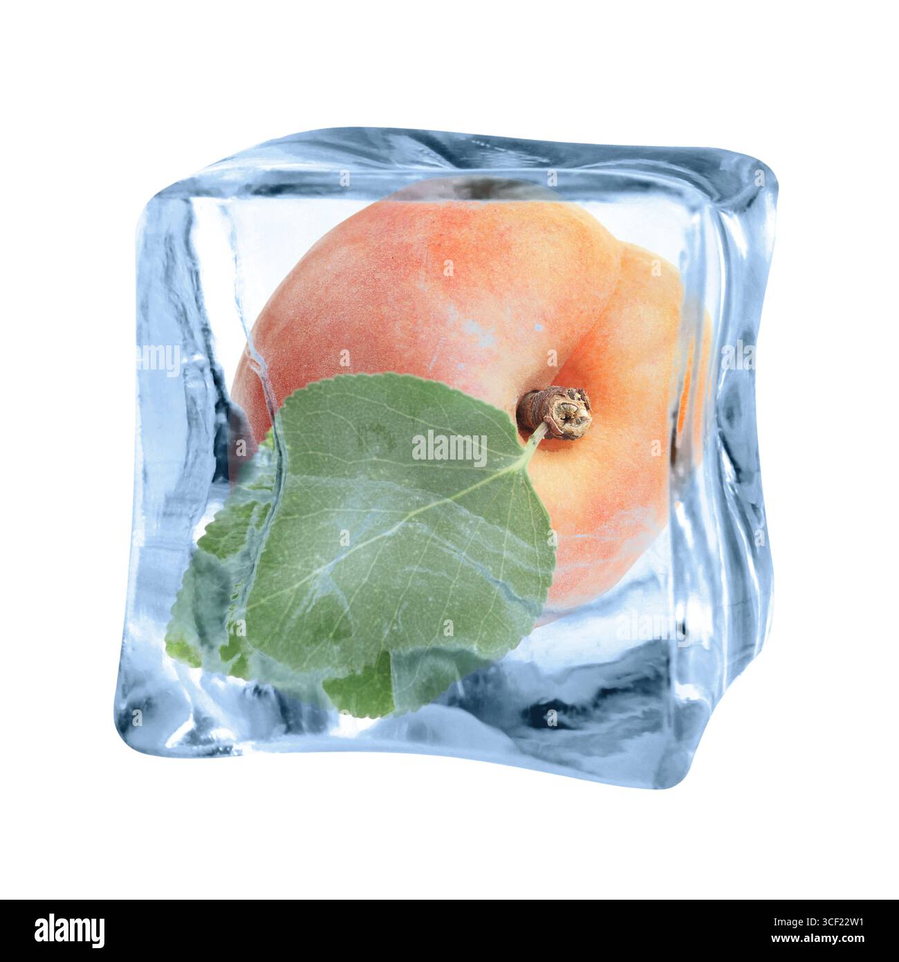 Frozen yellow leaf on Cut Out Stock Images & Pictures - Alamy