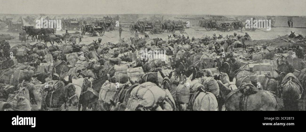 The arrival of an Anglo-Indian convoy at Shaiba in 1915, with pack ...