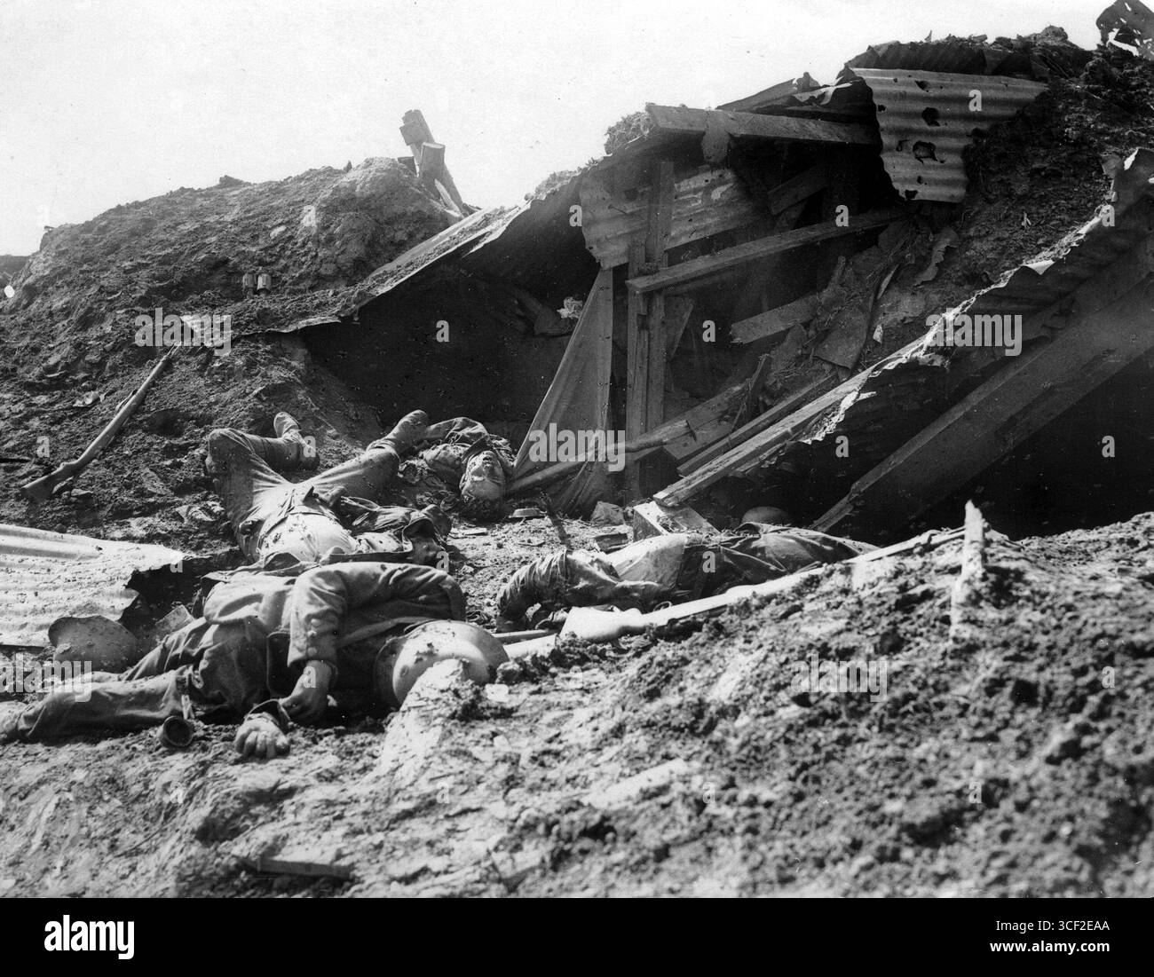 This 1916 photograph from the Western Front in France shows the ...