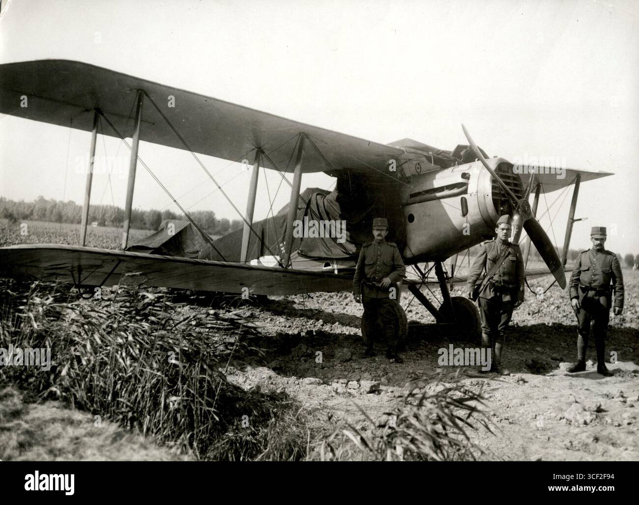 In 1917, military personnel inspect a British biplane that was forced ...