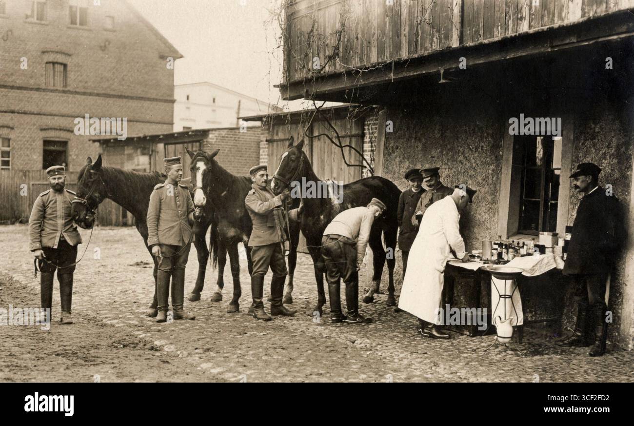 This 1915 World War I image shows German soldiers tending to horses ...
