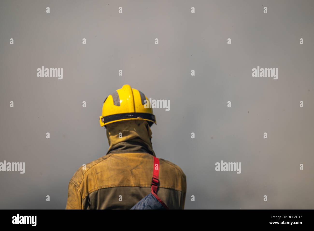 A Firefighter from Behind in a Wall of Smoke. Concept Facing the ...