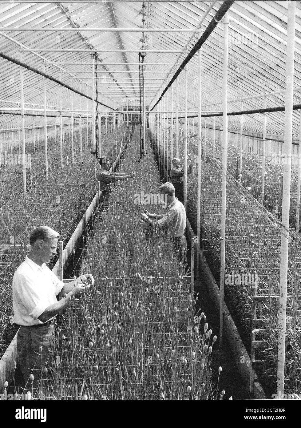 Focused cultivation Black and White Stock Photos & Images - Alamy