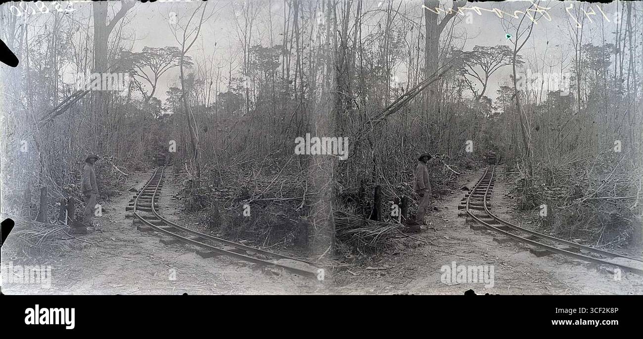This stereoscopic image from 1920-1928 shows the transportation of ...